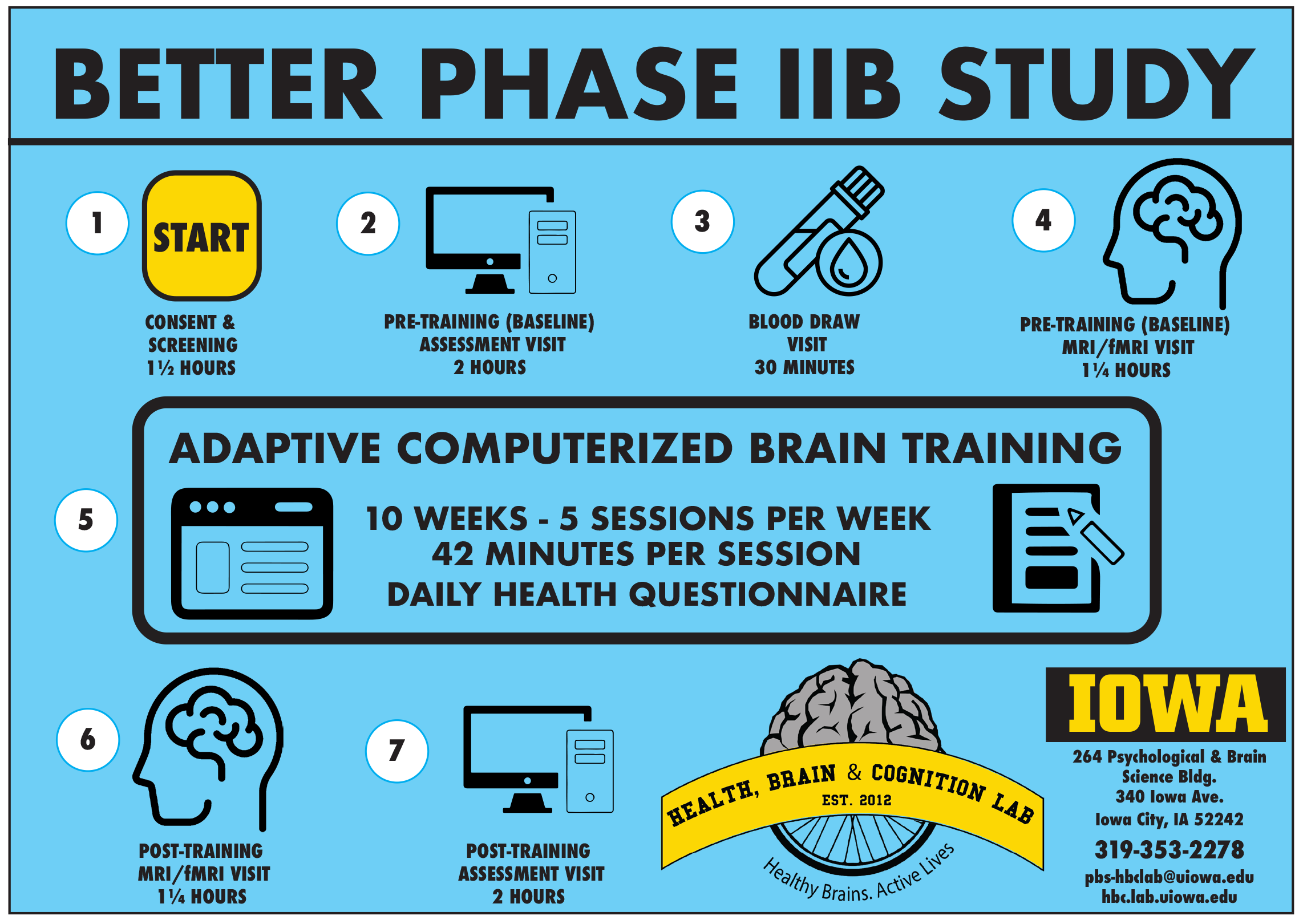 BETTER Aging, Phase IIB | Health, Brain, and Cognition Lab - The University of Iowa